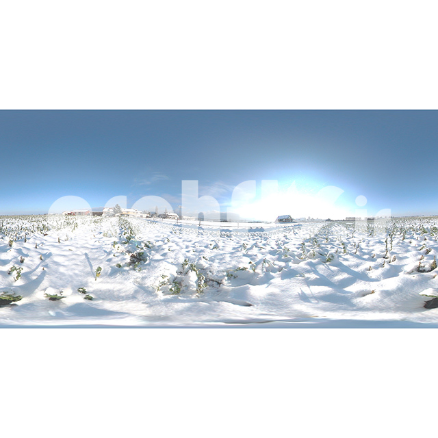 HDRI_021 - Archfly.ir